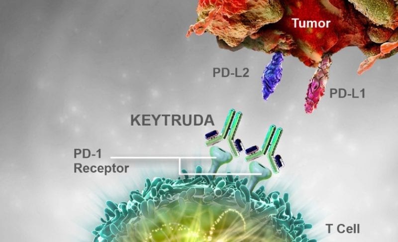 PD-1 / PD-L1 is the Checkpoint Pathway - Cholangiocarcinoma New Zealand